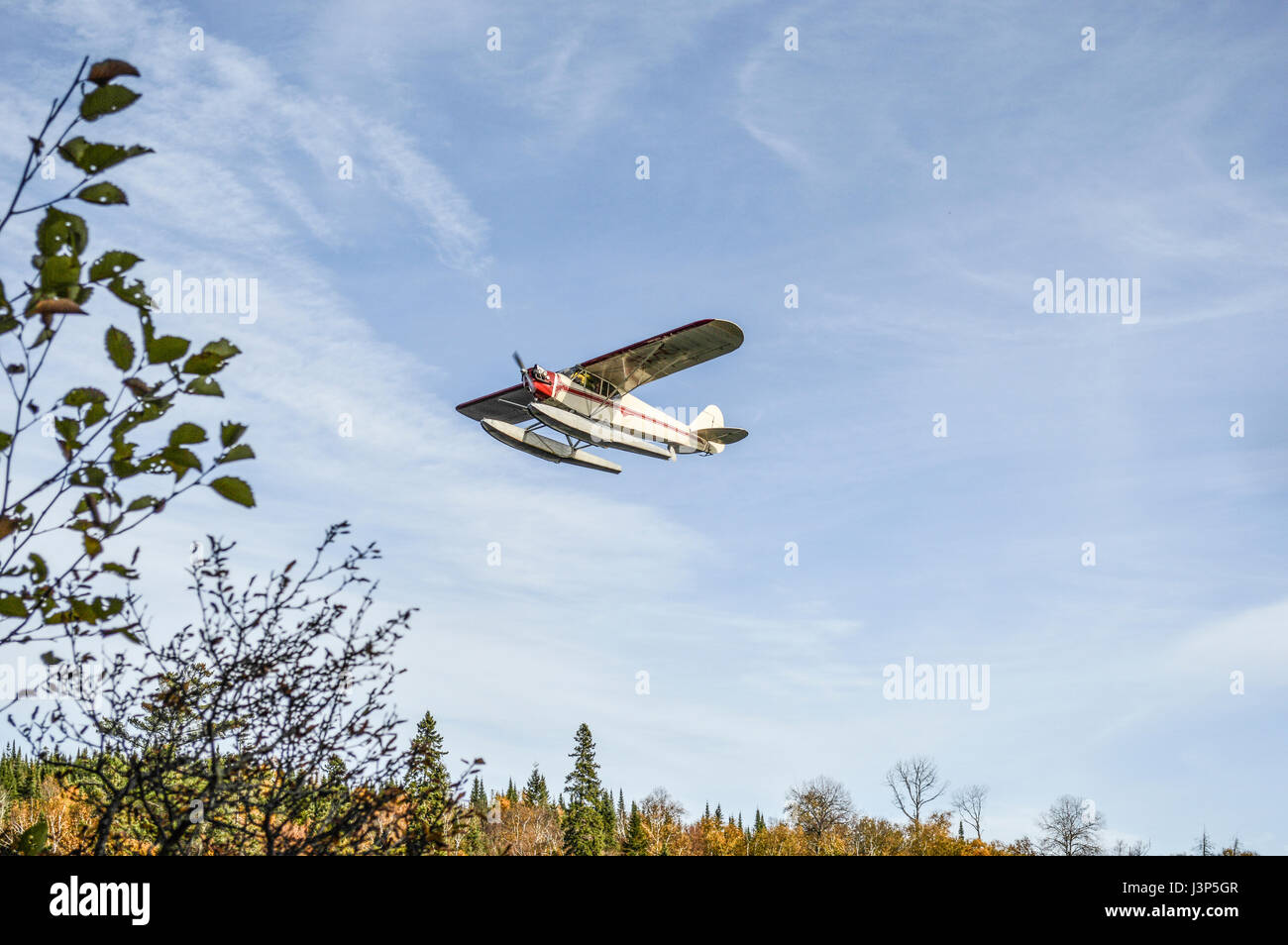 Float woods hi-res stock photography and images - Alamy