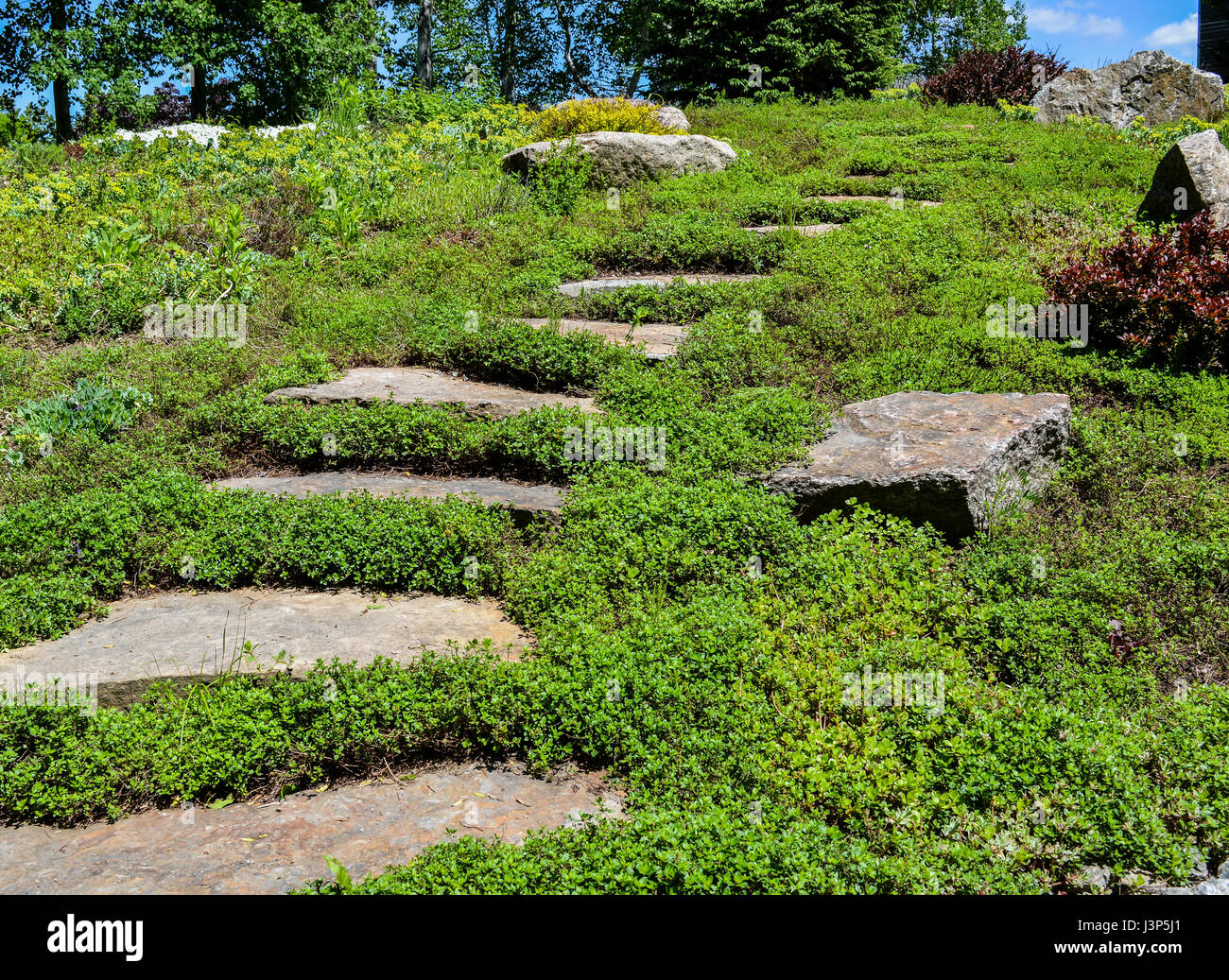 Rock slabs placed on the side of the hill to be used as stepping stones ...