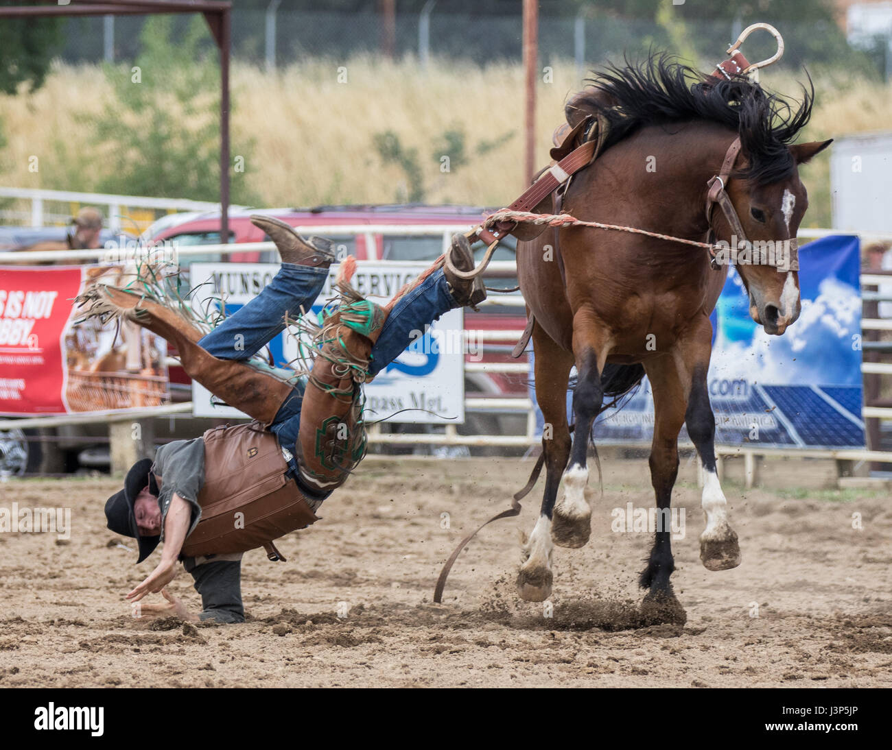 Rodeo action at the Cottonwood Rodeo in California Stock Photo - Alamy