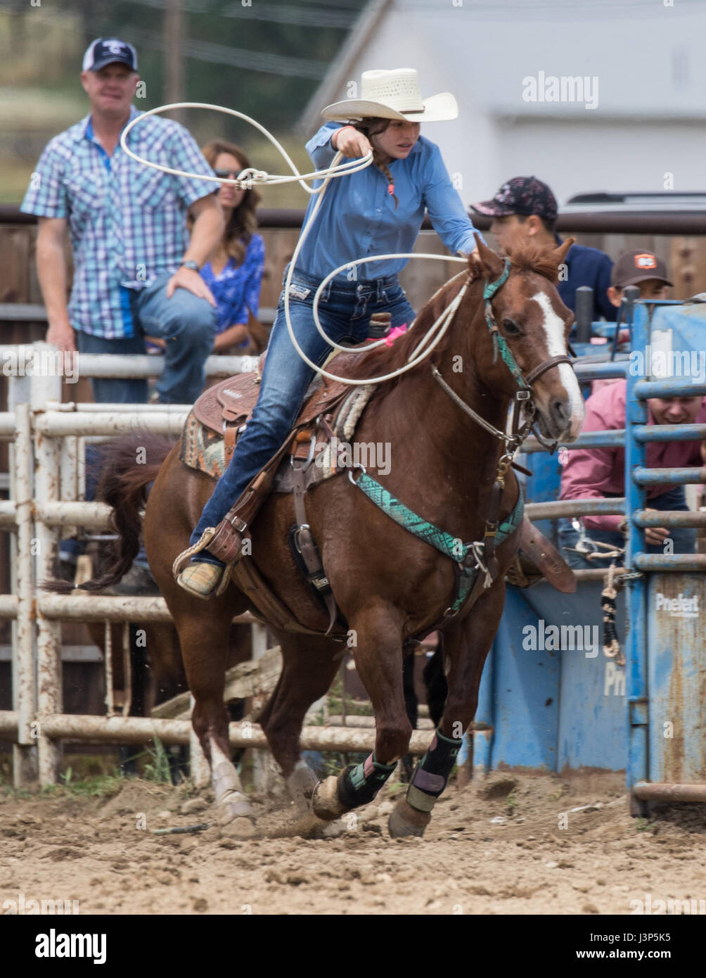 Rodeo action at the Cottonwood Rodeo in California Stock Photo - Alamy