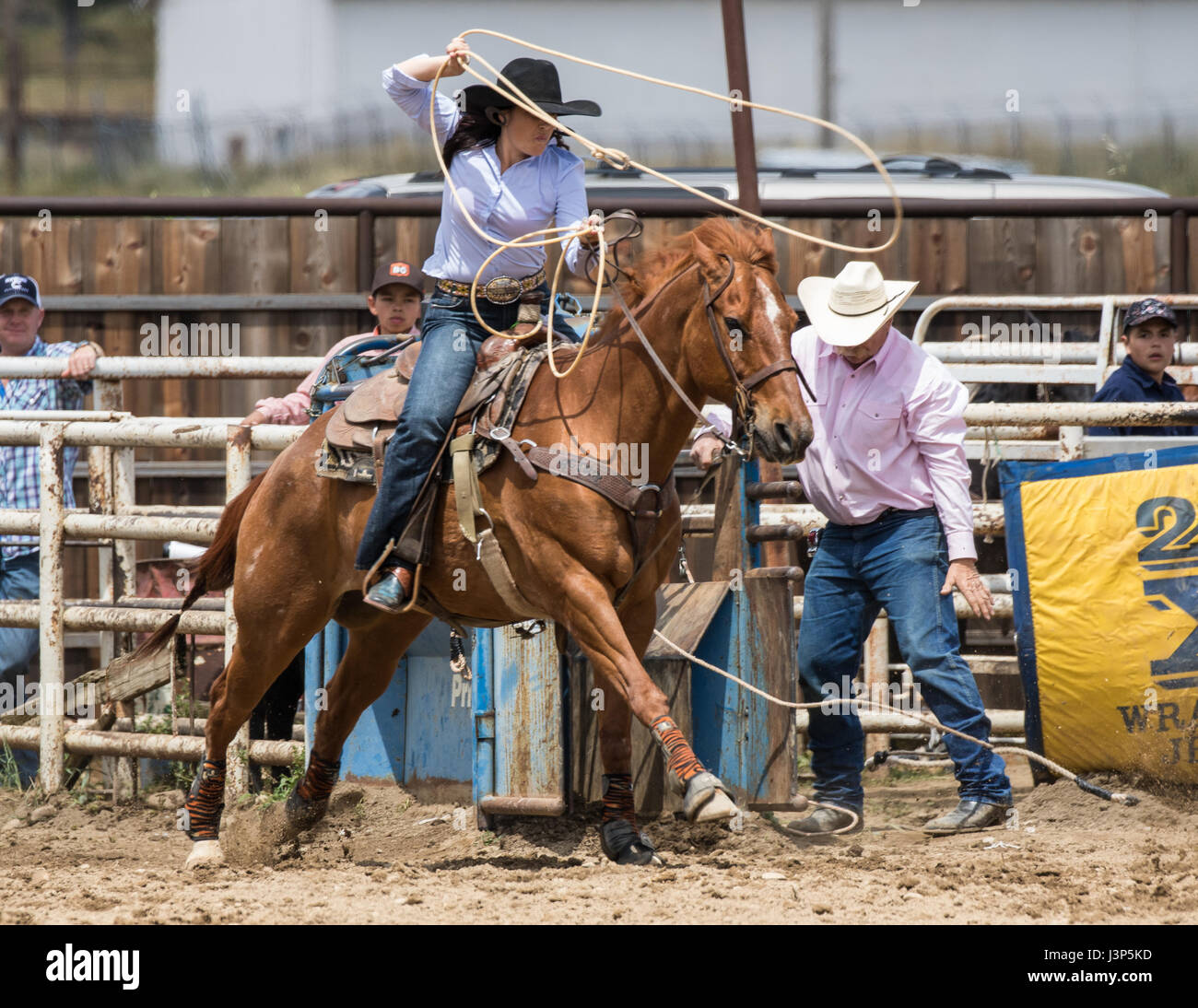 Rodeo action at the Cottonwood Rodeo in California Stock Photo - Alamy