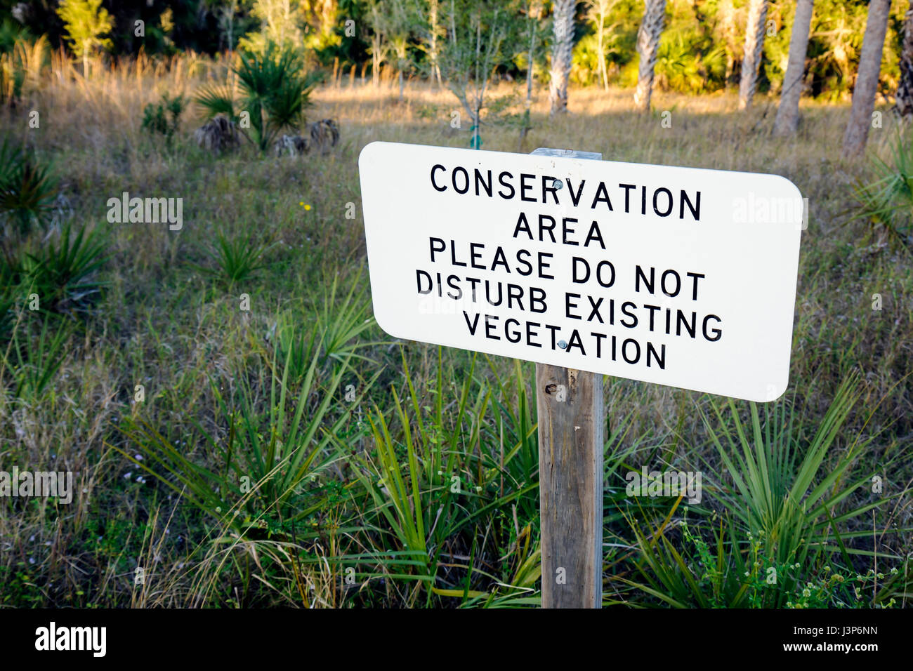 Naples Florida,Tamiami Trail,US 41,Port of the Islands,vegetation,sign ...