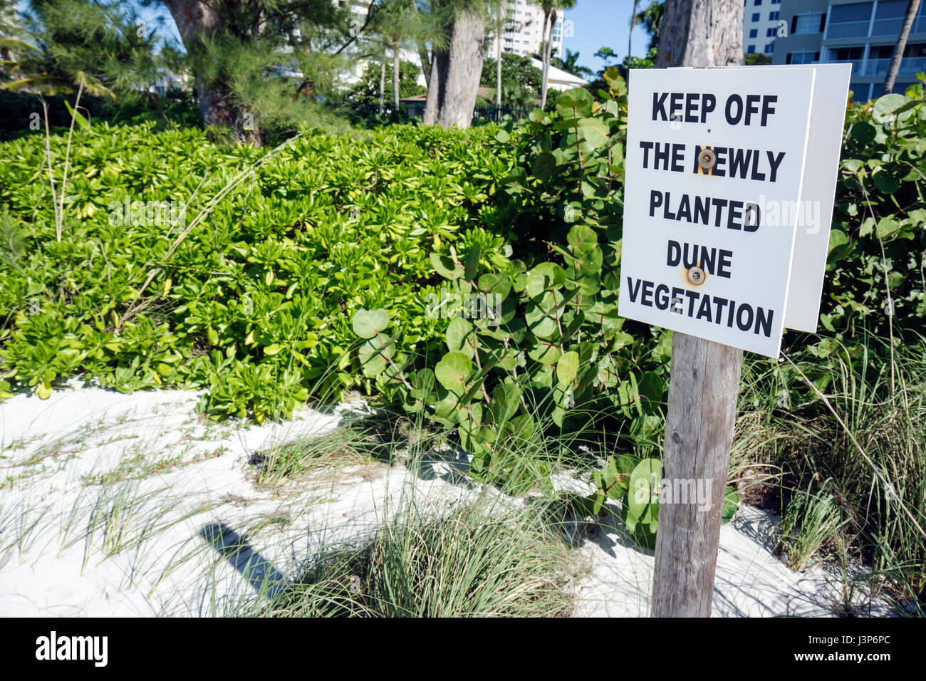 Naples Florida,Gulf of Mexico Coast,Clam Pass Park,public beach,posted ...