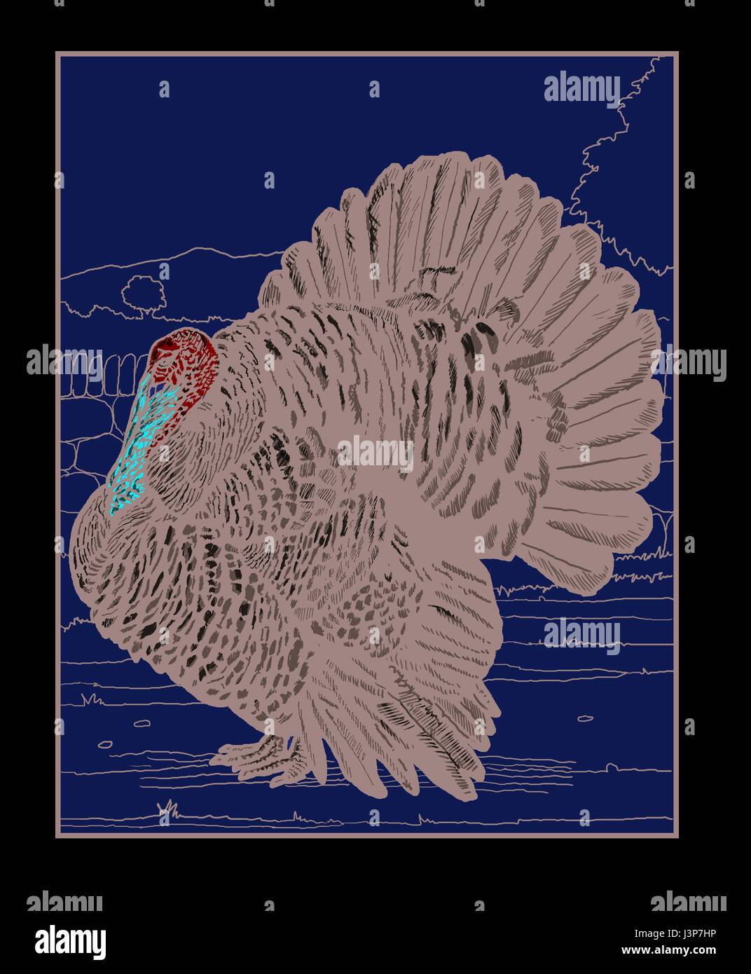 Portrait of turkey Stock Photo - Alamy