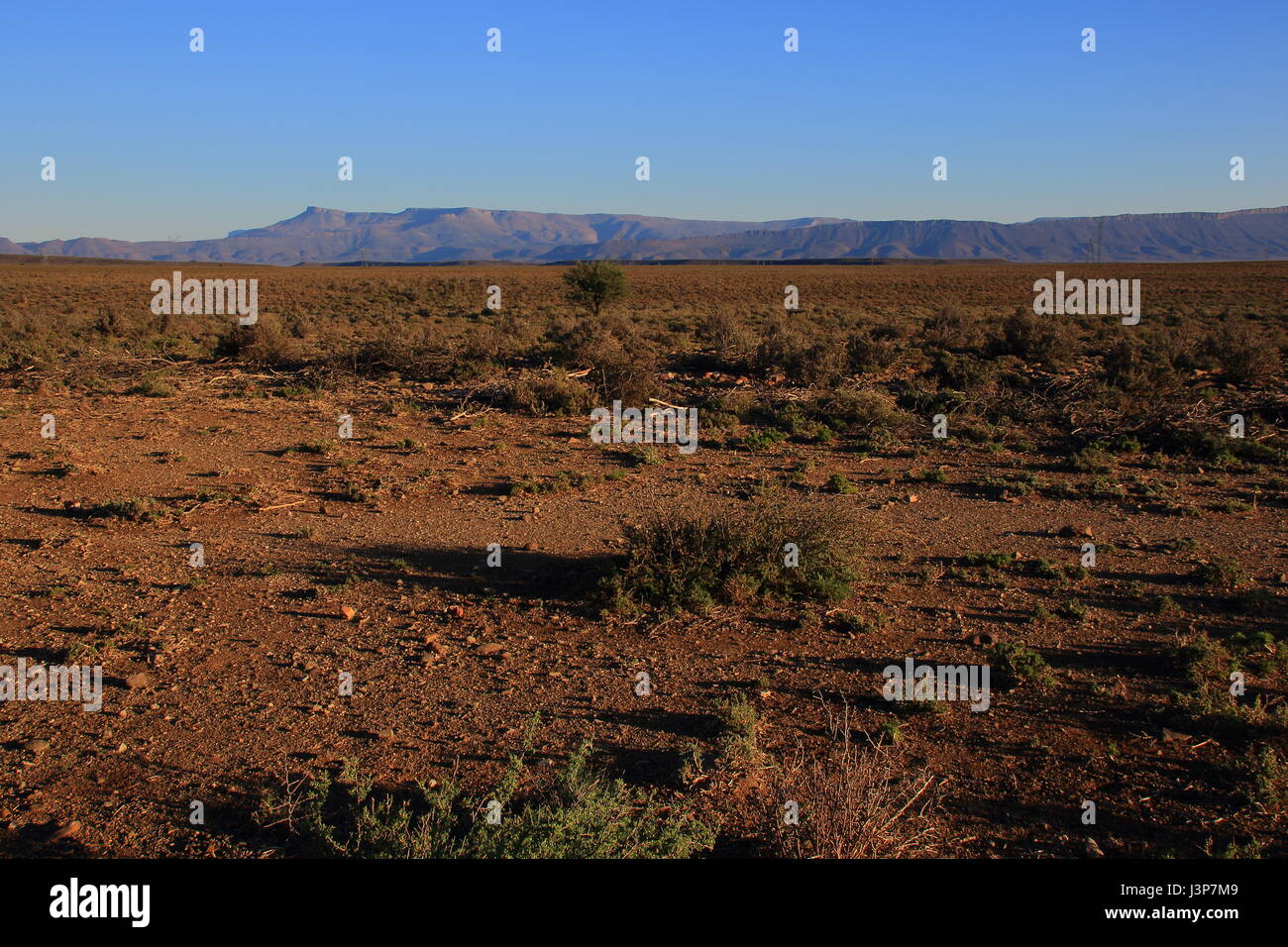 Landscape of the Great Karoo natural region in the Western Cape of ...