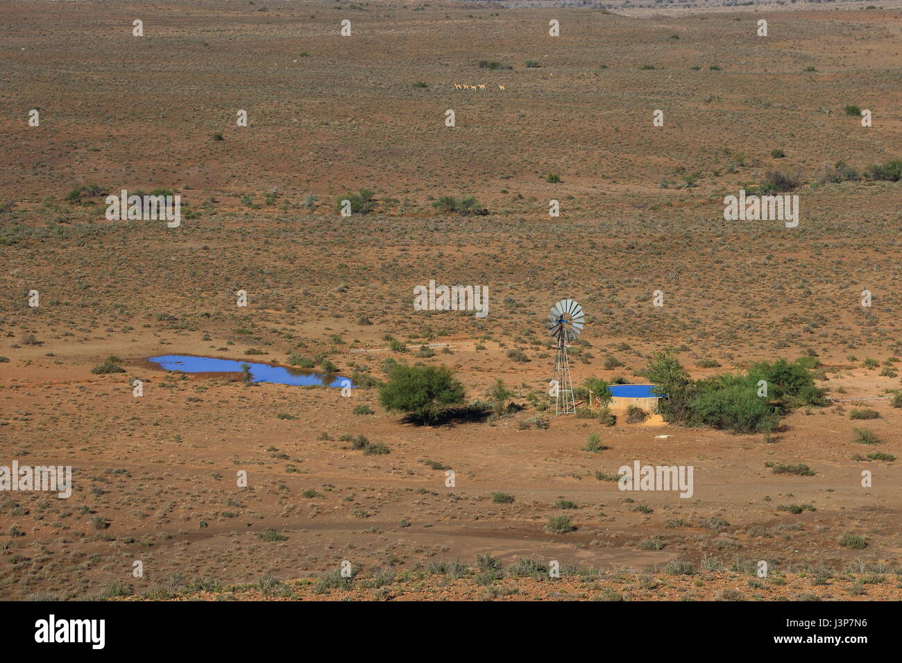 Landscape of the Great Karoo natural region in the Western Cape of ...