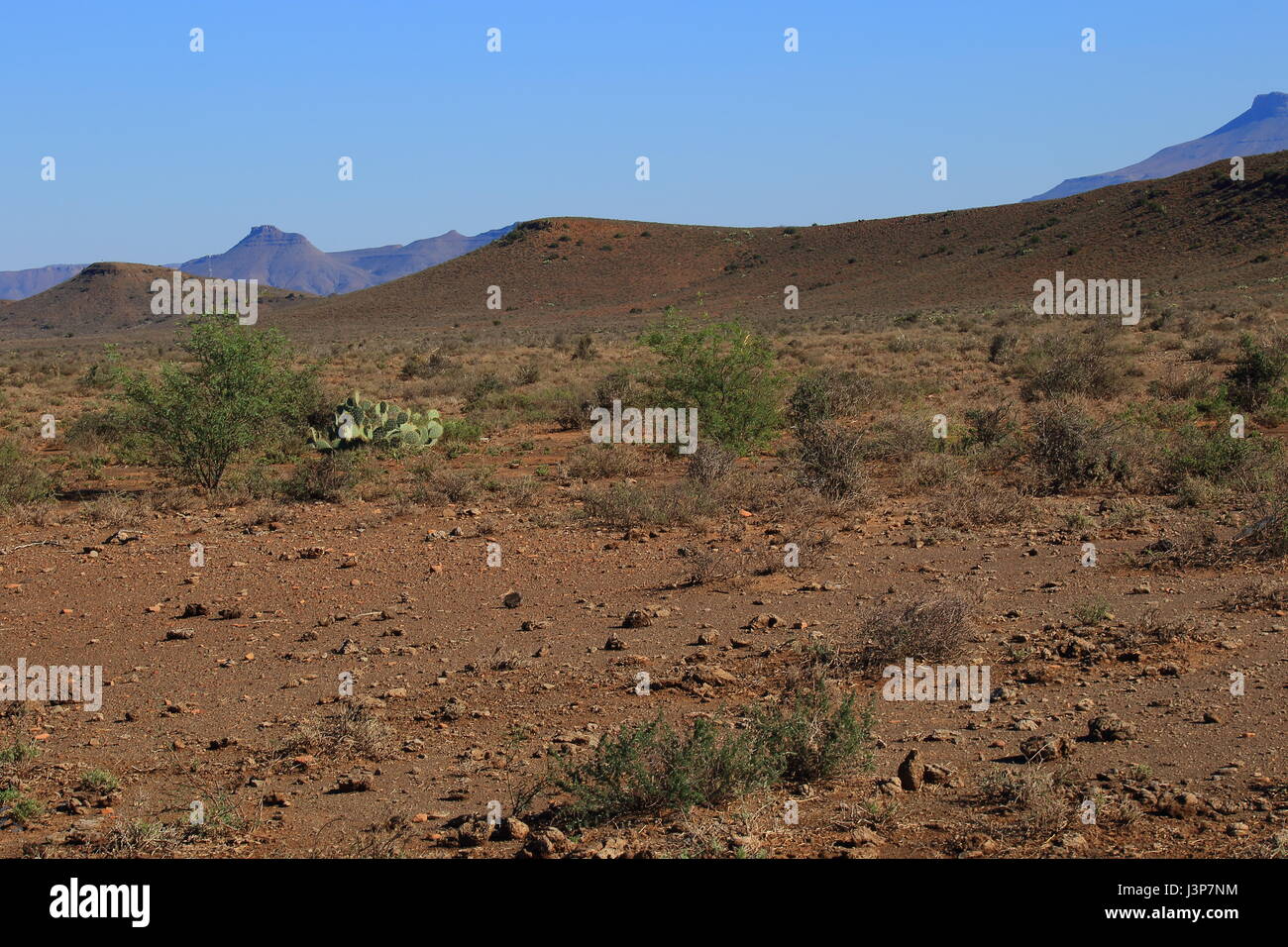 Landscape of the Great Karoo natural region in the Western Cape of ...