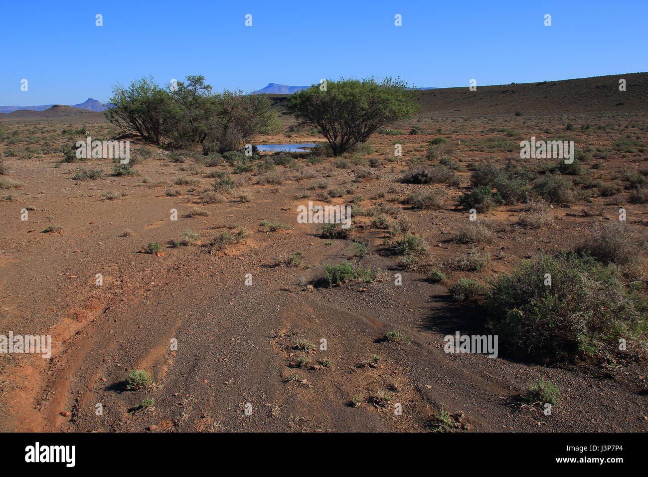 Landscape of the Great Karoo natural region in the Western Cape of ...