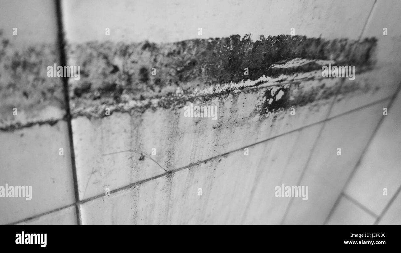 old dirty tile wall with mud. Dirt on the tile Stock Photo - Alamy