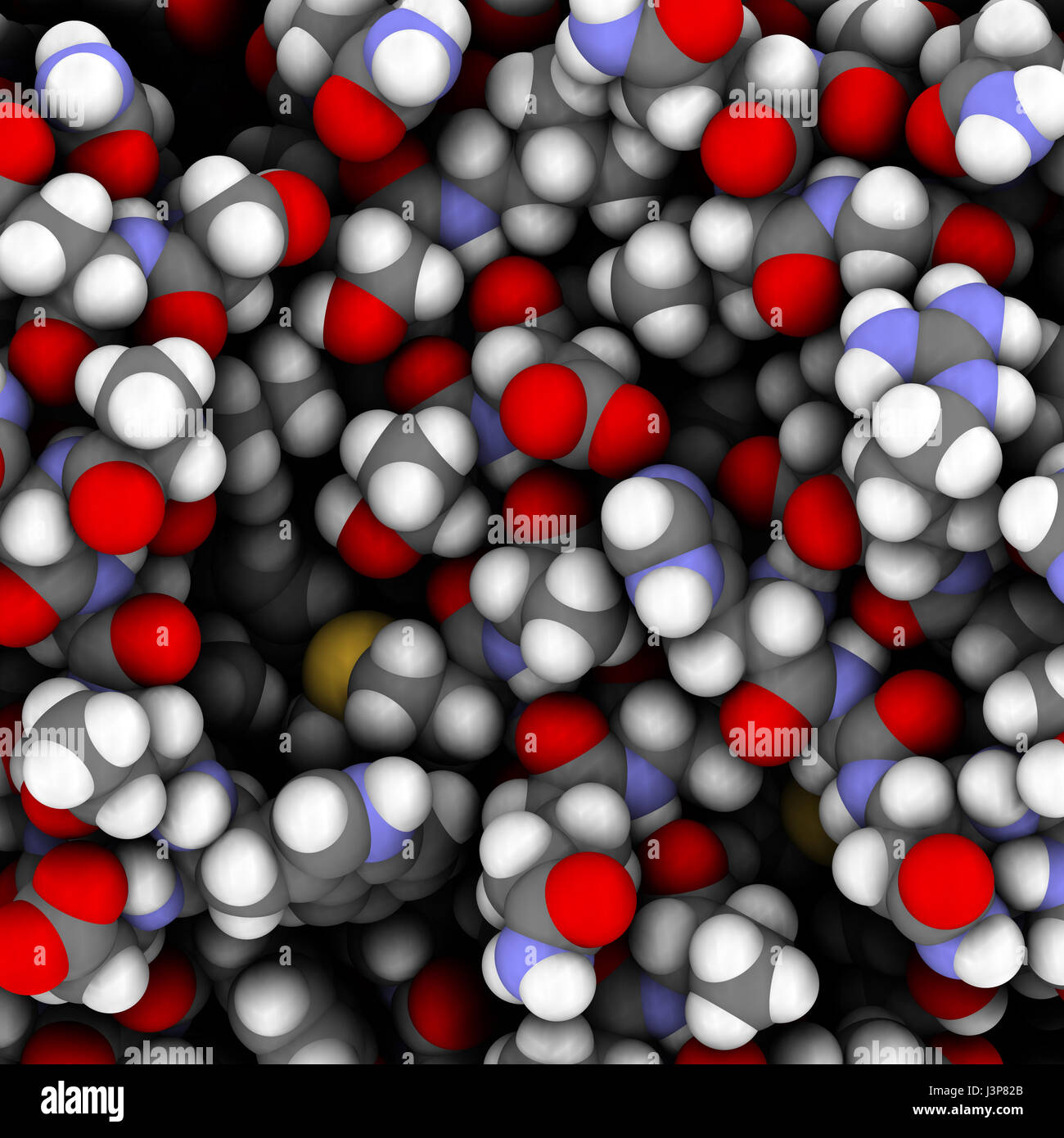 alpha 2-antiplasmin (a2-antiplasmin) protein molecule. Main inhibitor ...