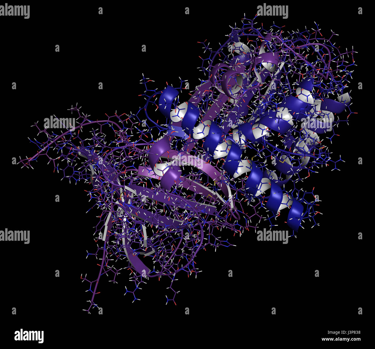 alpha 2-antiplasmin (a2-antiplasmin) protein molecule. Main inhibitor ...