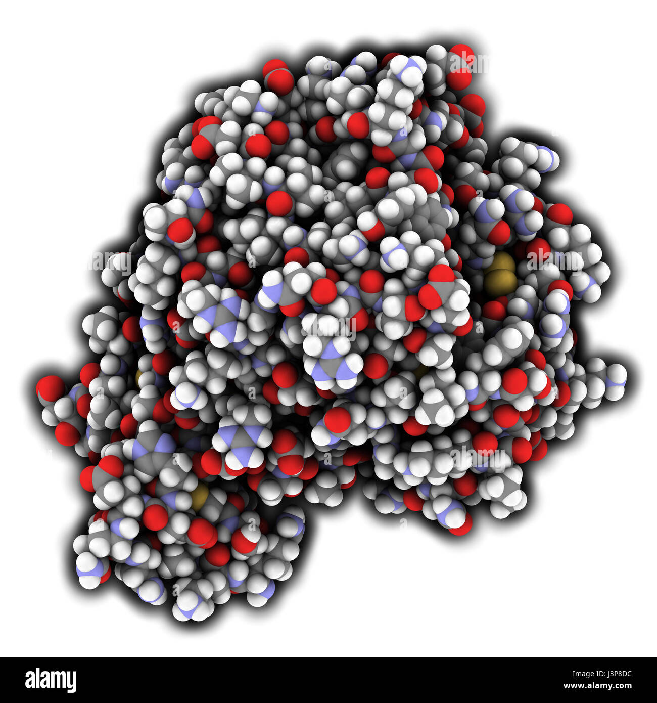 Stuart prower factor hi-res stock photography and images - Alamy