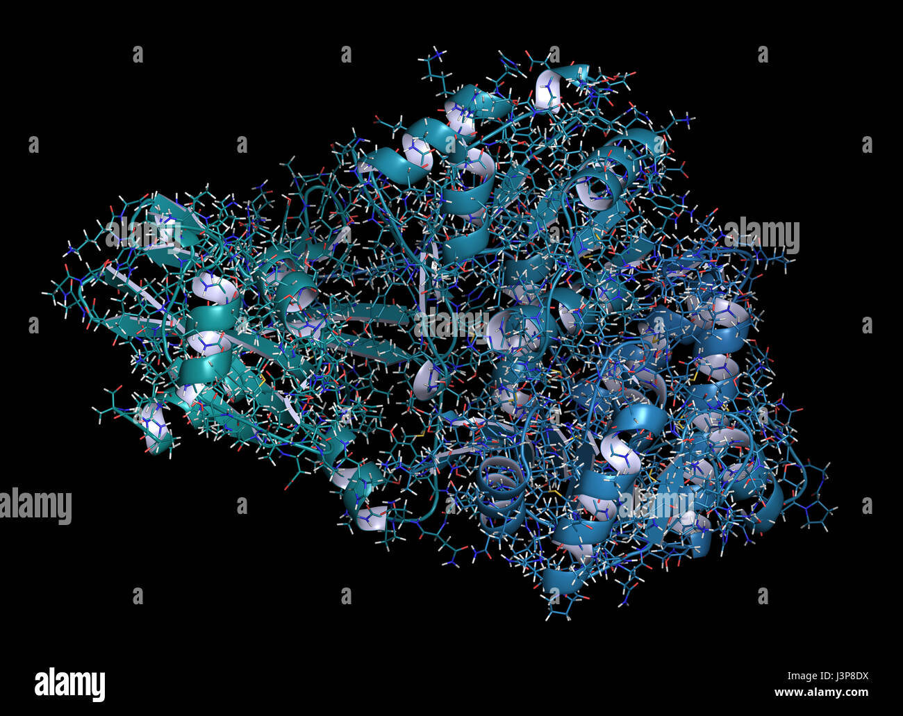 Firefly luciferase enzyme. Protein responsible for the bioluminescence ...