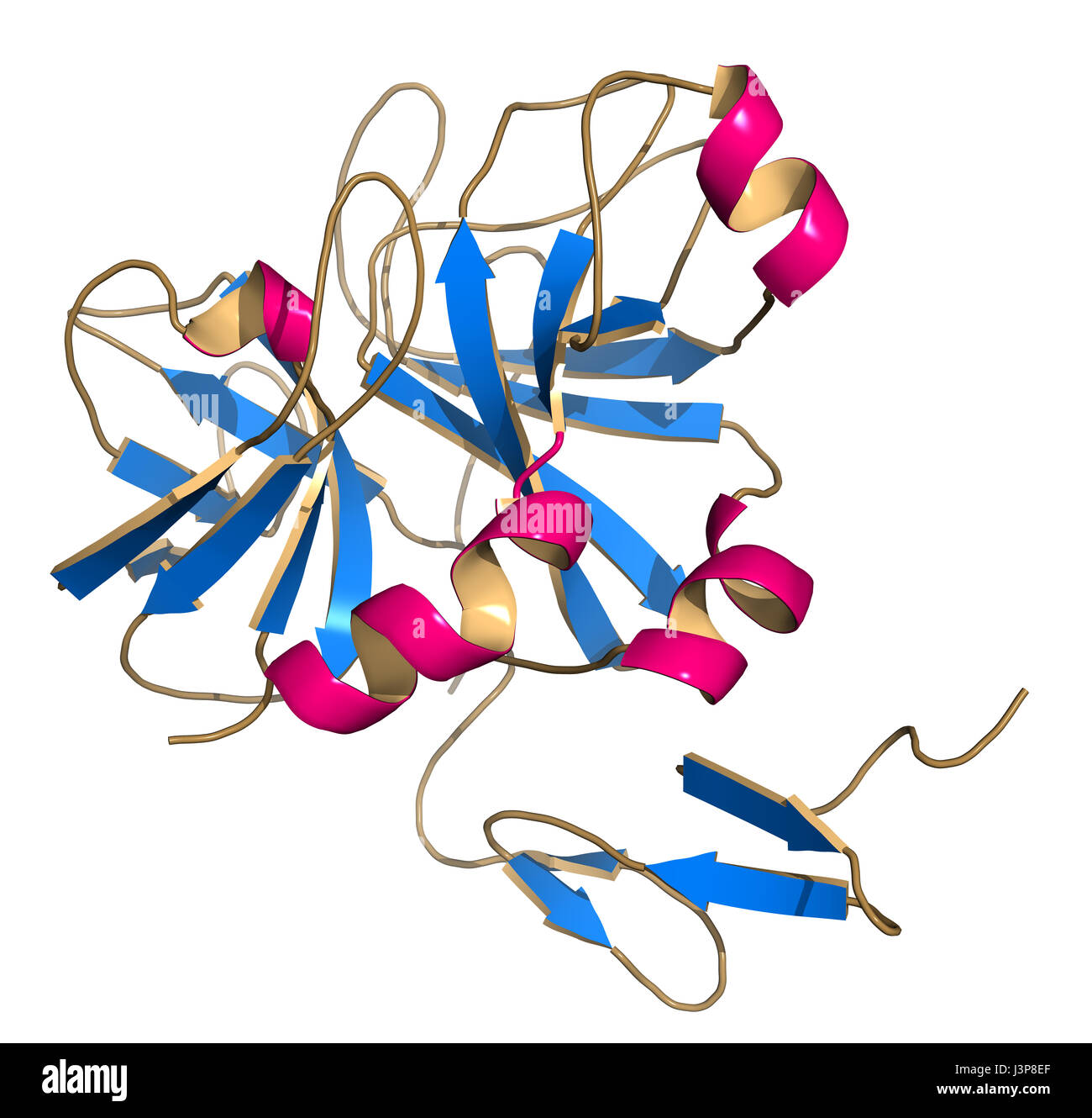 Stuart prower factor hi-res stock photography and images - Alamy