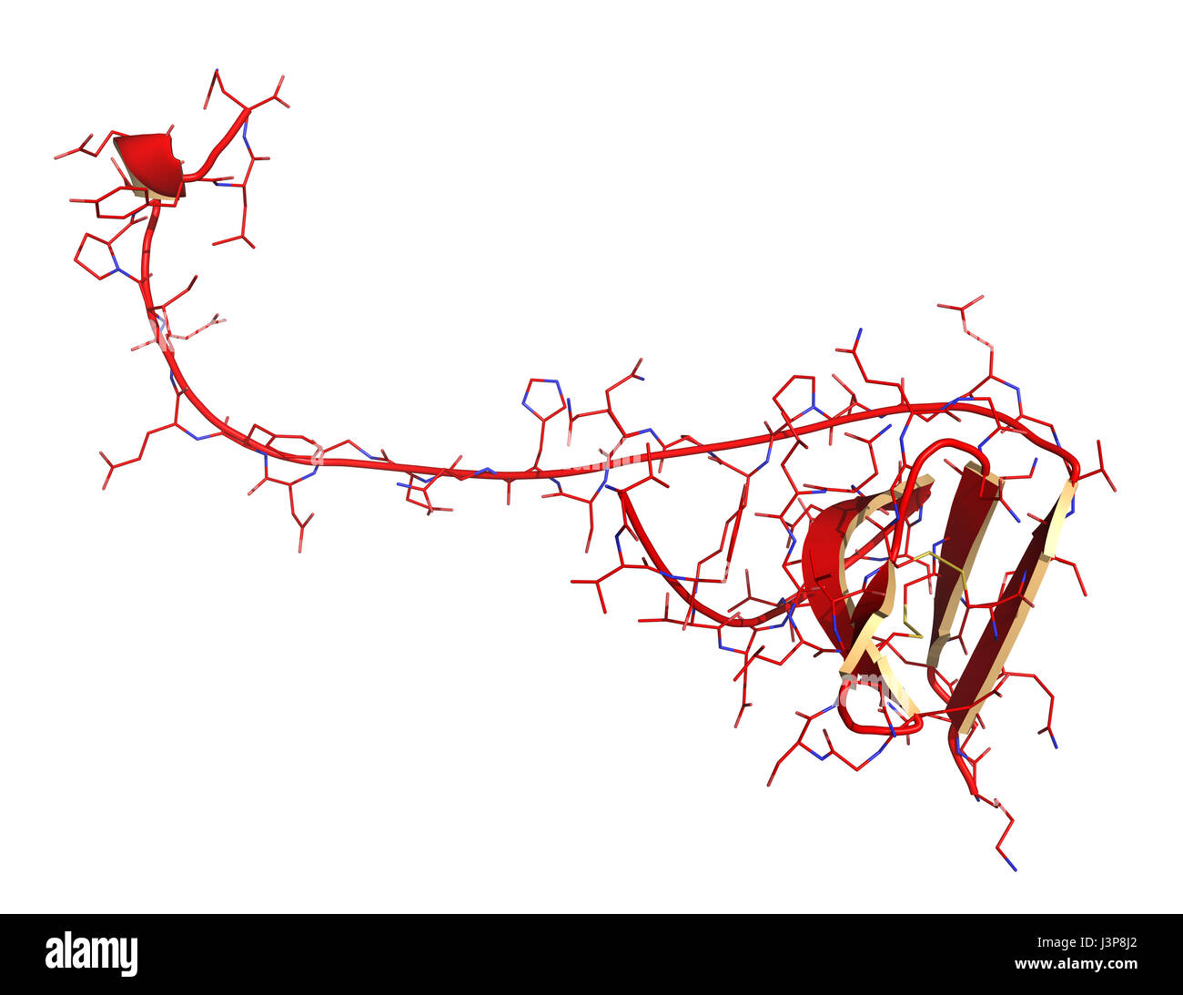 Hirudin hi-res stock photography and images - Alamy