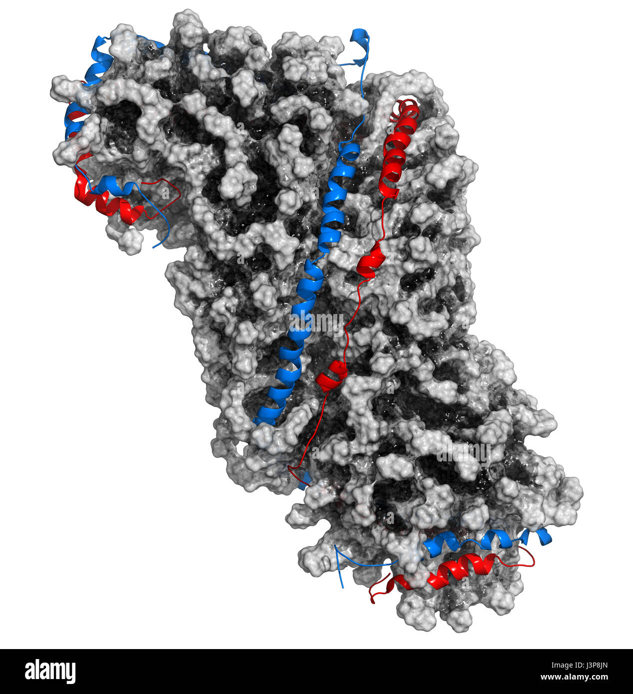 High density lipoprotein hi-res stock photography and images - Alamy
