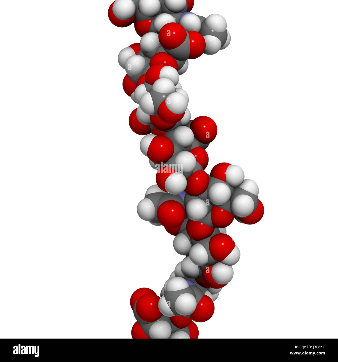Hyaluronan (hyaluronic acid, hyaluronate) glycosaminoglycan molecule ...