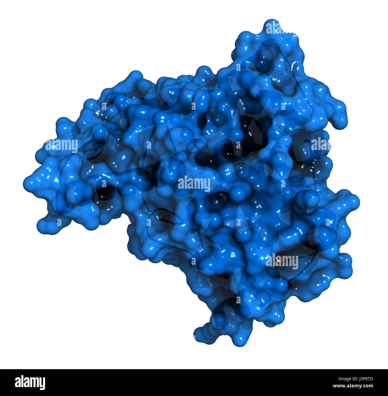 Phosphodiesterase 5 (PDE5) enzyme. Inhibition of this enzyme is the ...