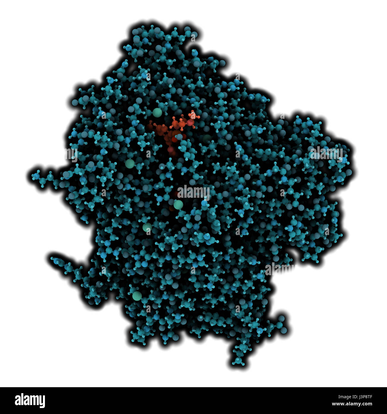 Phosphodiesterase 5 (PDE5) enzyme. Inhibition of this enzyme is the ...