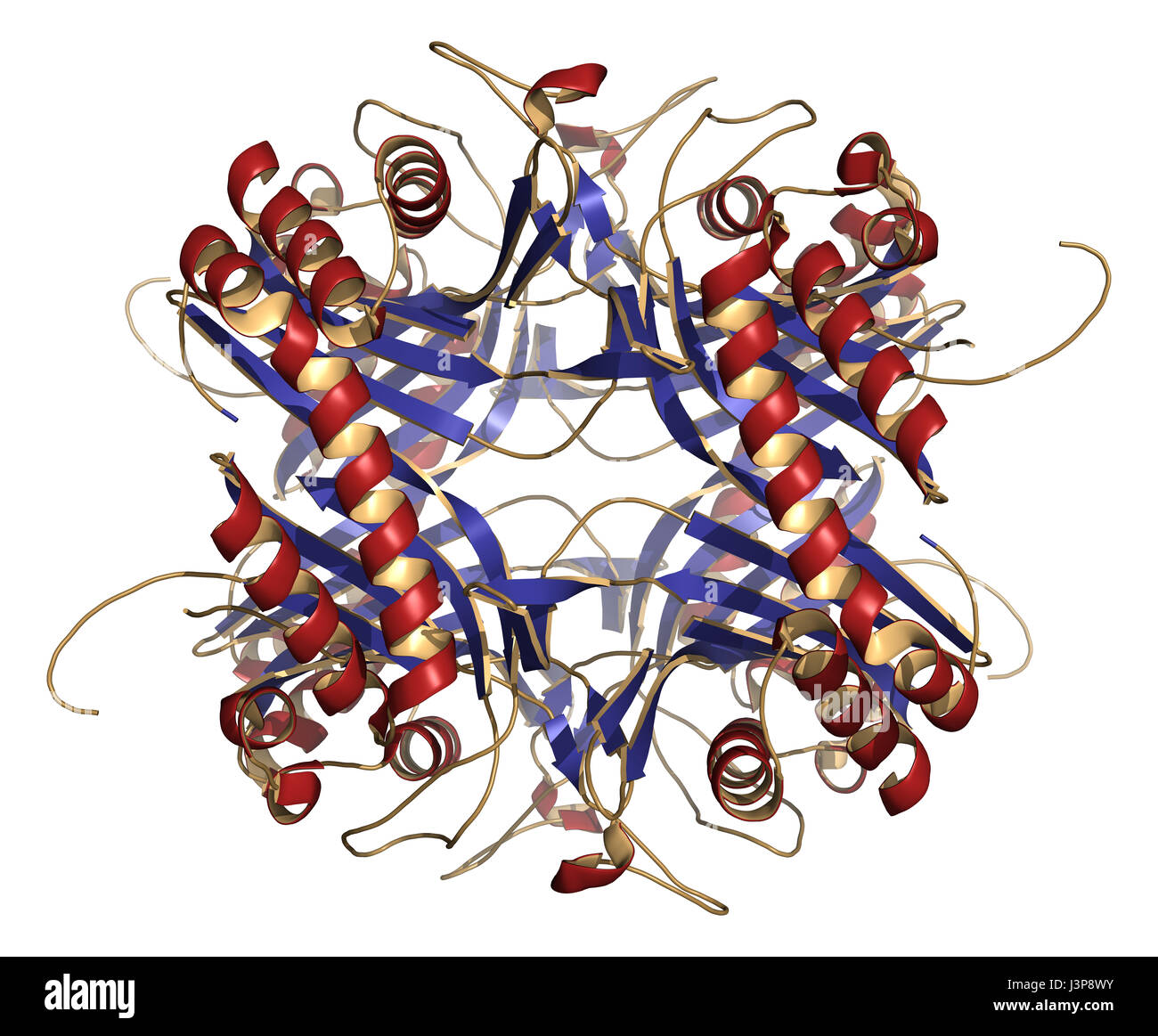 Tumor lysis syndrome hi-res stock photography and images - Alamy