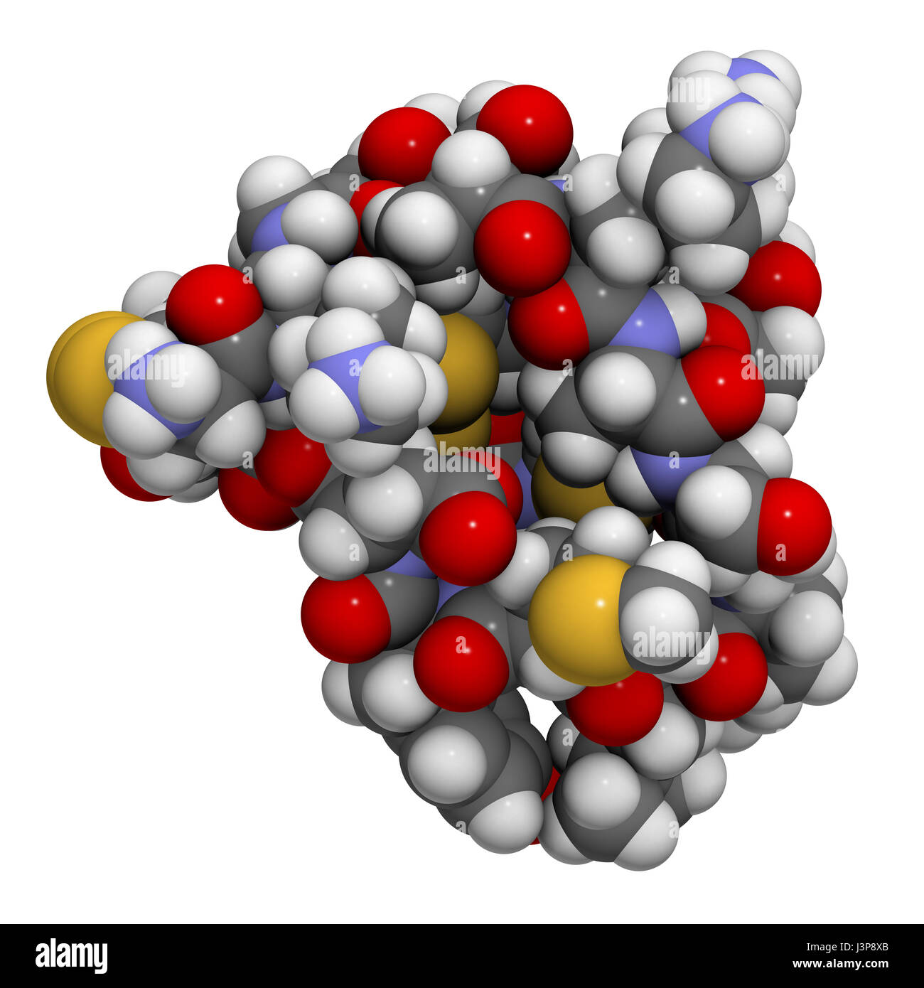 Ziconotide pain drug molecule. Synthetic form of omega conotoxin from ...