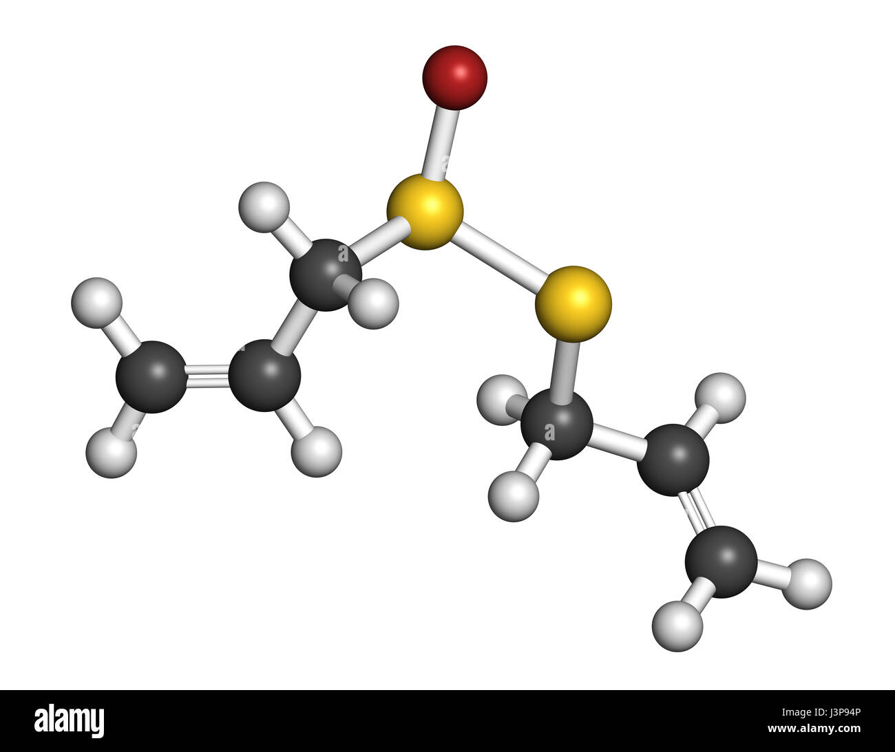 Allicin garlic molecule. Formed from alliin by the enzyme alliinase ...