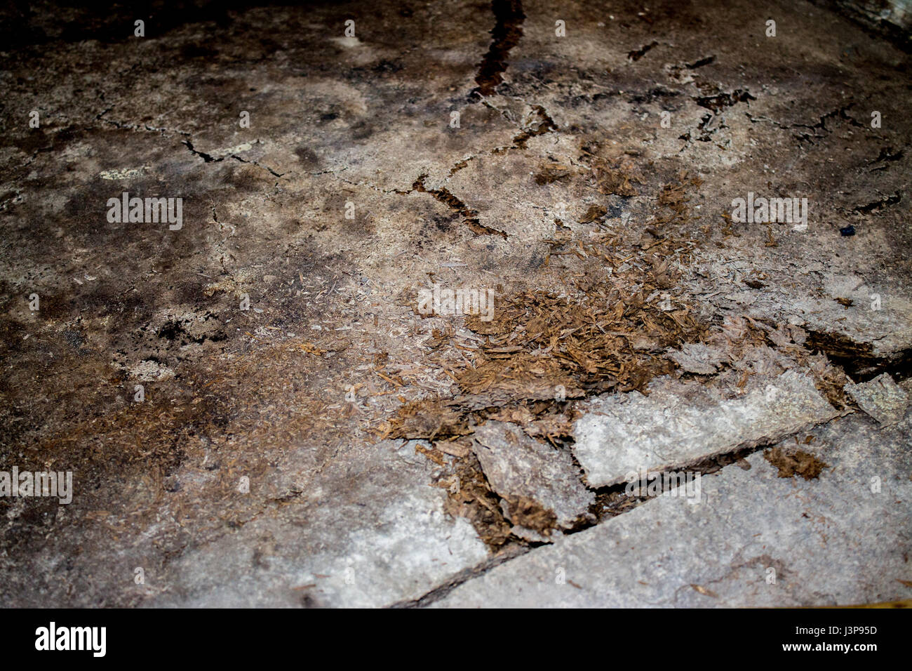 Broken concrete floor in a residential building Stock Photo - Alamy