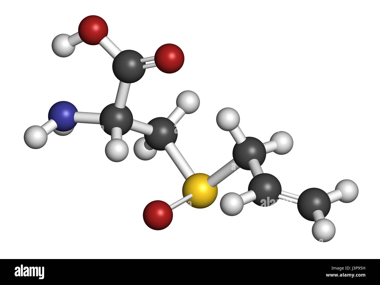 Alliin garlic molecule. Atoms are represented as spheres with ...