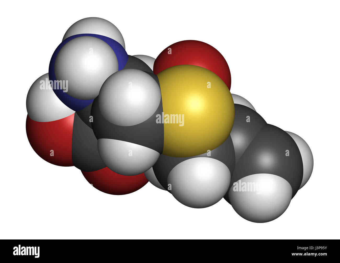 Alliin garlic molecule. Atoms are represented as spheres with ...