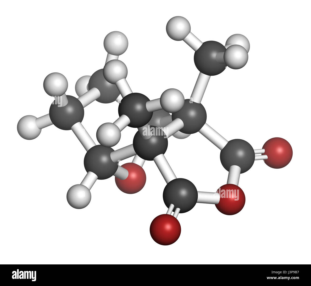 Cantharidin blister beetle poison molecule. Secreted by blister beetles ...