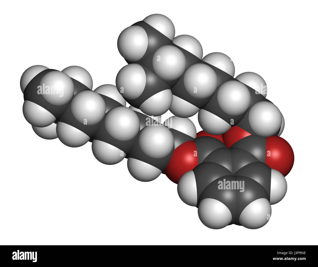 Diisononyl phthalate (DINP) plasticizer molecule. Atoms are represented ...