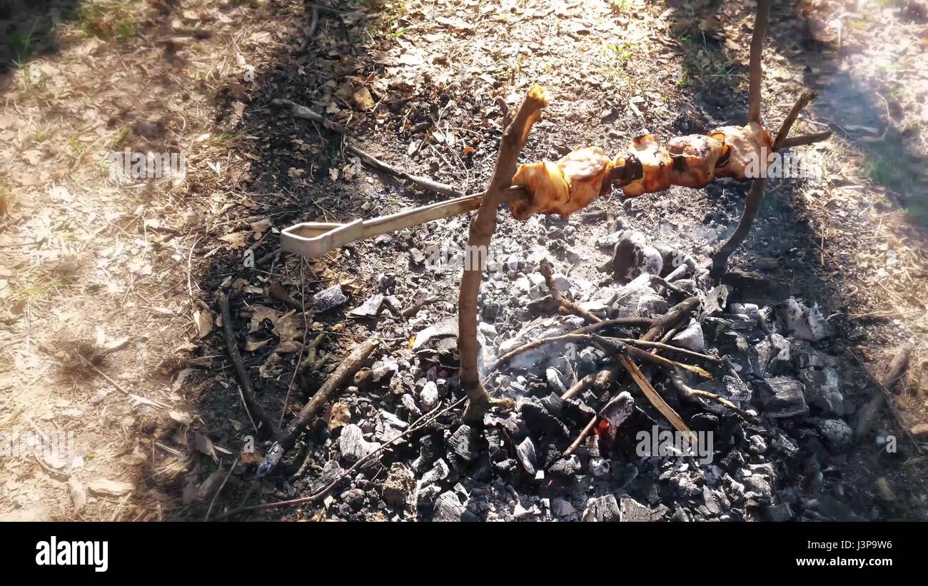 shish kebab on fire,a beautiful composition Stock Photo - Alamy