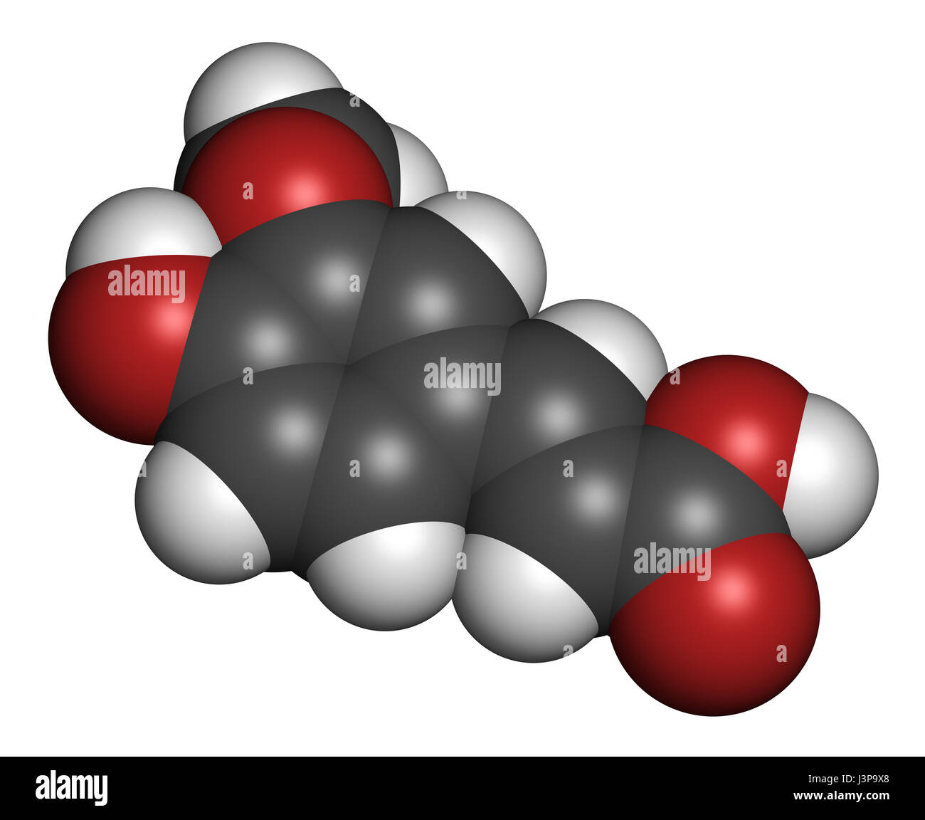 Ferulic acid herbal antioxidant molecule. Atoms are represented as ...