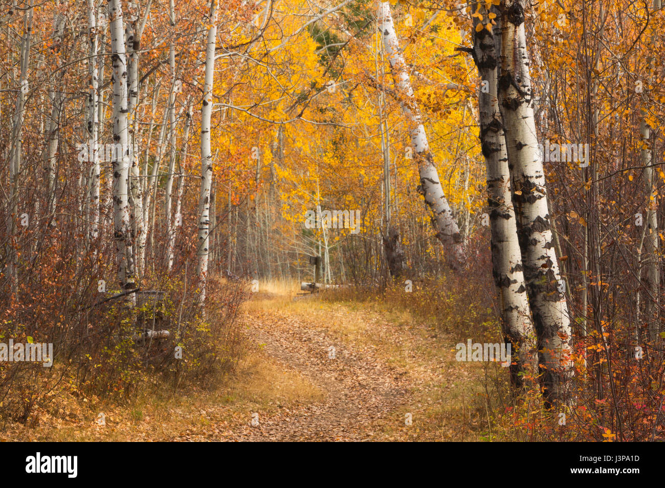Methow valley hi-res stock photography and images - Alamy