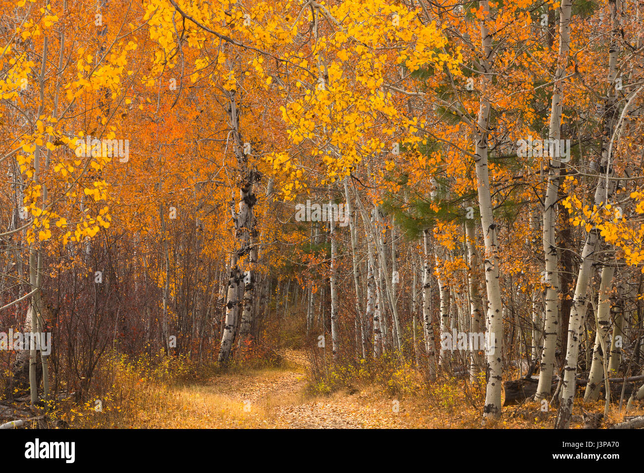 Methow valley hi-res stock photography and images - Alamy