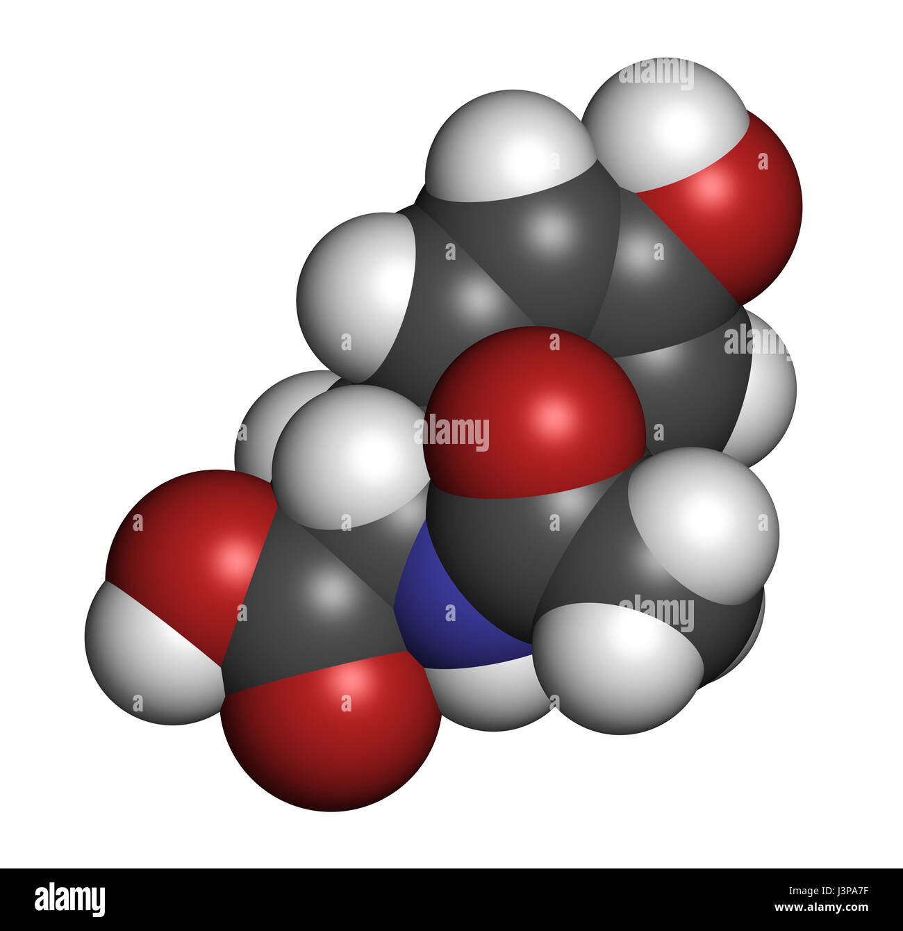 N-acetyl-tyrosine (NALT) molecule. Acetylated form of the amino acid ...