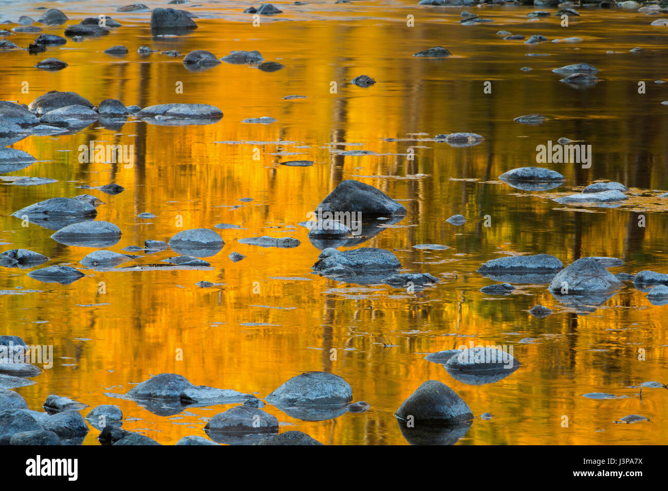 Fall color reflects into a river bed in the Methow Valley of Washington ...