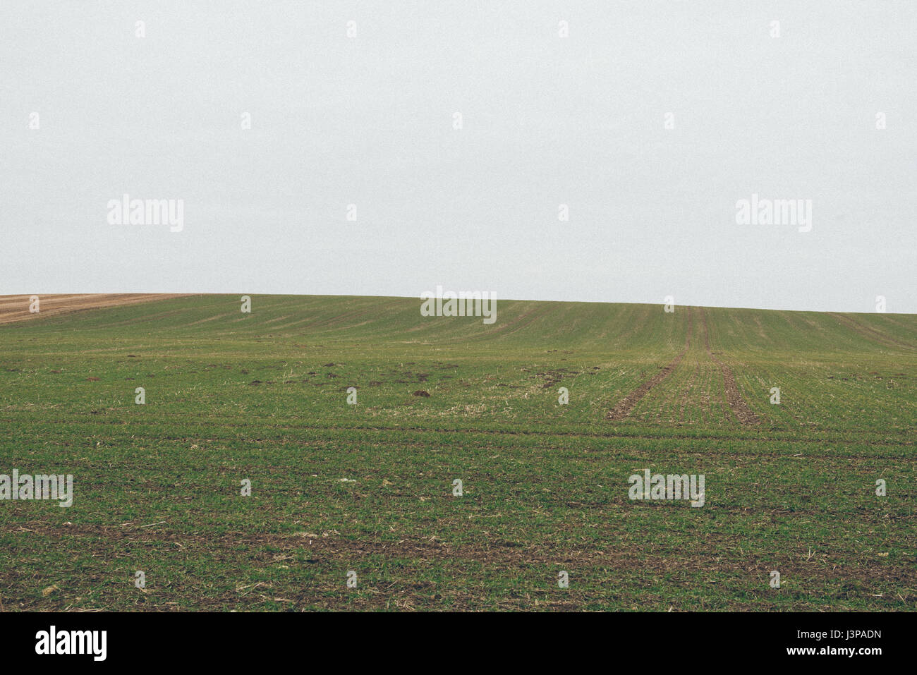 green fields aerial view from view tower in the country - grainy retro ...