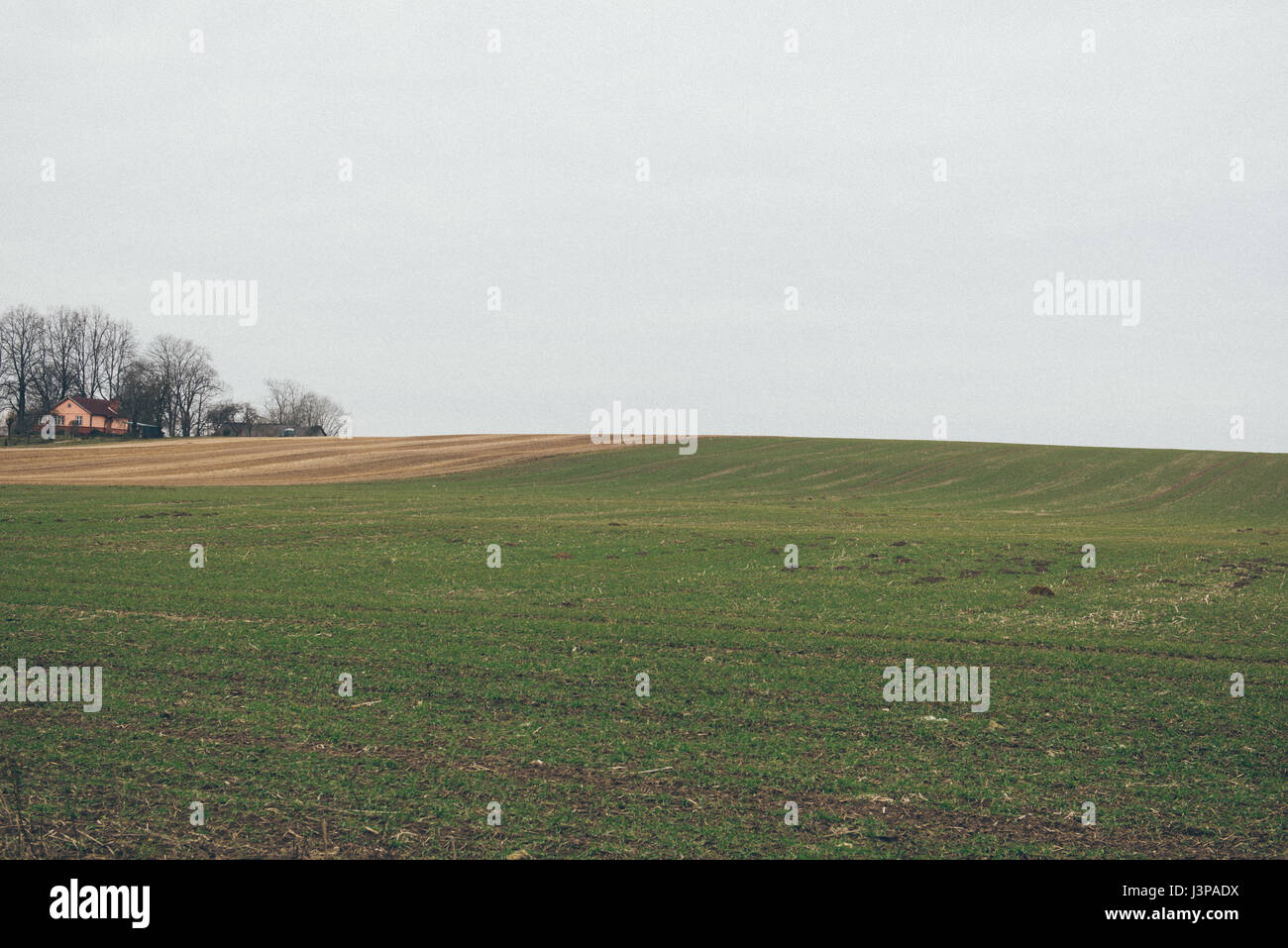 green fields aerial view from view tower in the country - grainy retro ...
