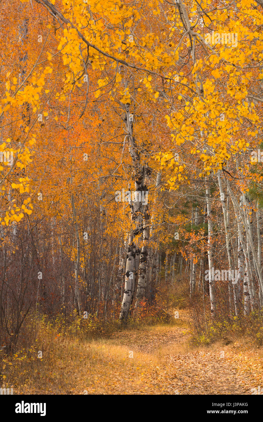 Methow valley hi-res stock photography and images - Alamy