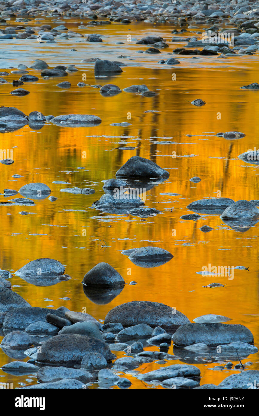 Fall color reflects into a river bed in the Methow Valley of Washington ...