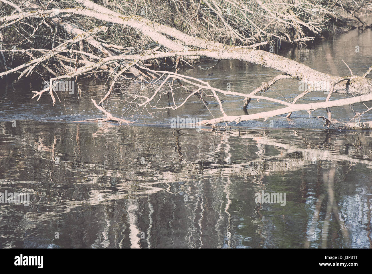 scenic spring colored river in country with trees and reflections ...