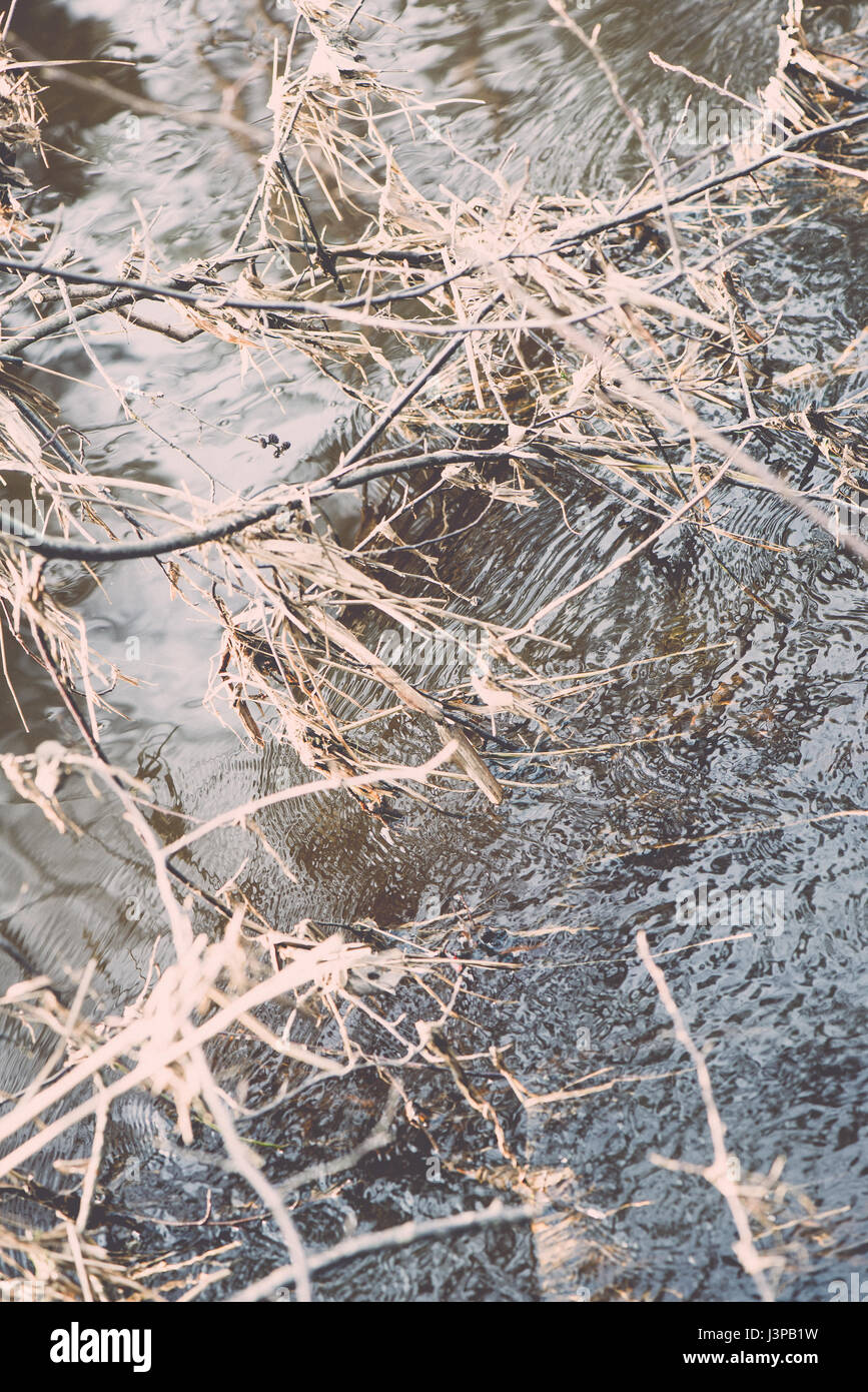 scenic spring colored river in country with trees and reflections ...