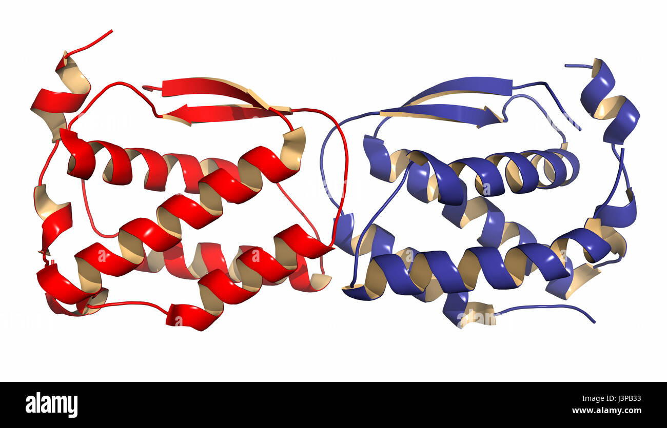 Macrophage cartoon hi-res stock photography and images - Alamy