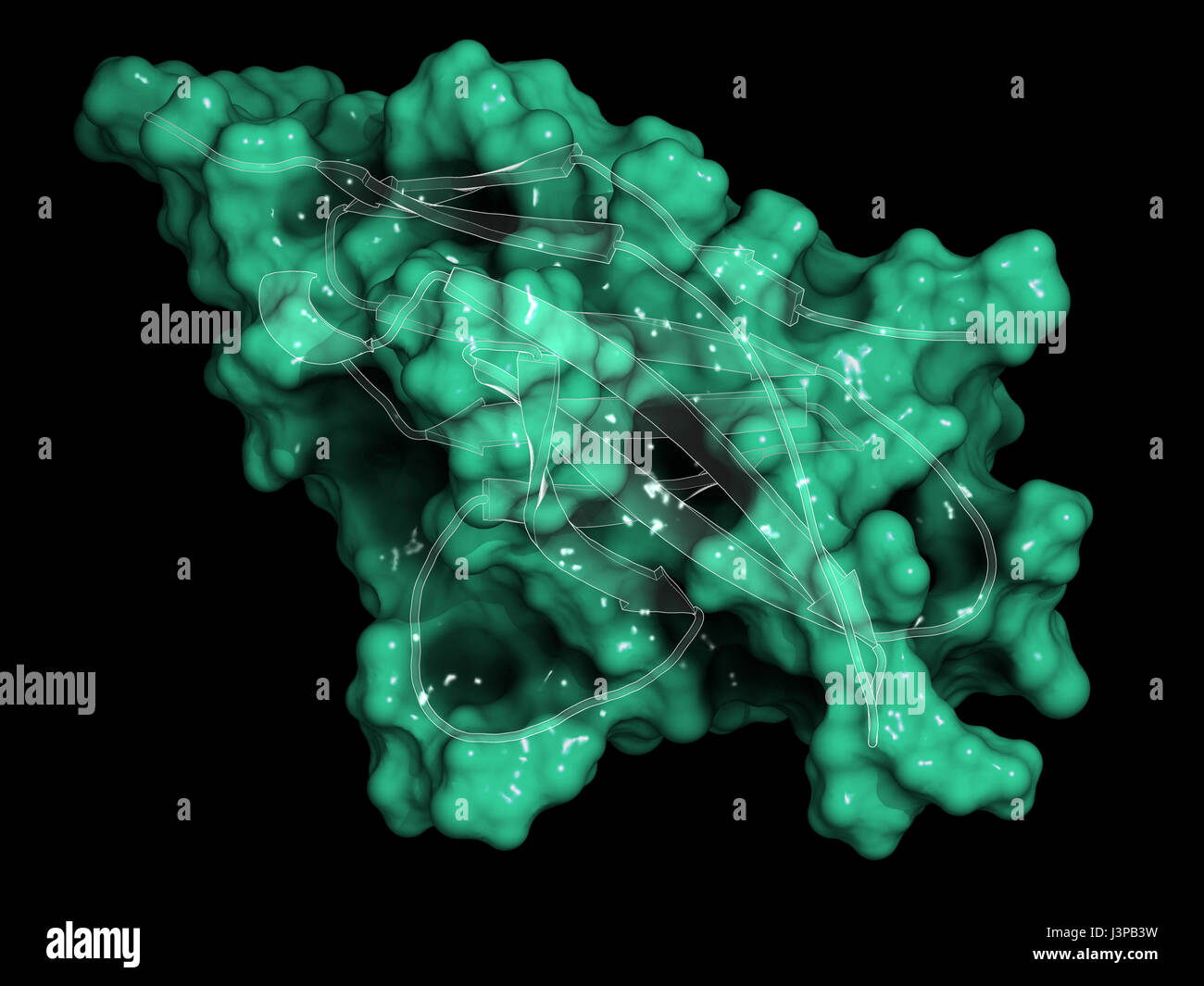 Immune cell cartoon hi-res stock photography and images - Alamy