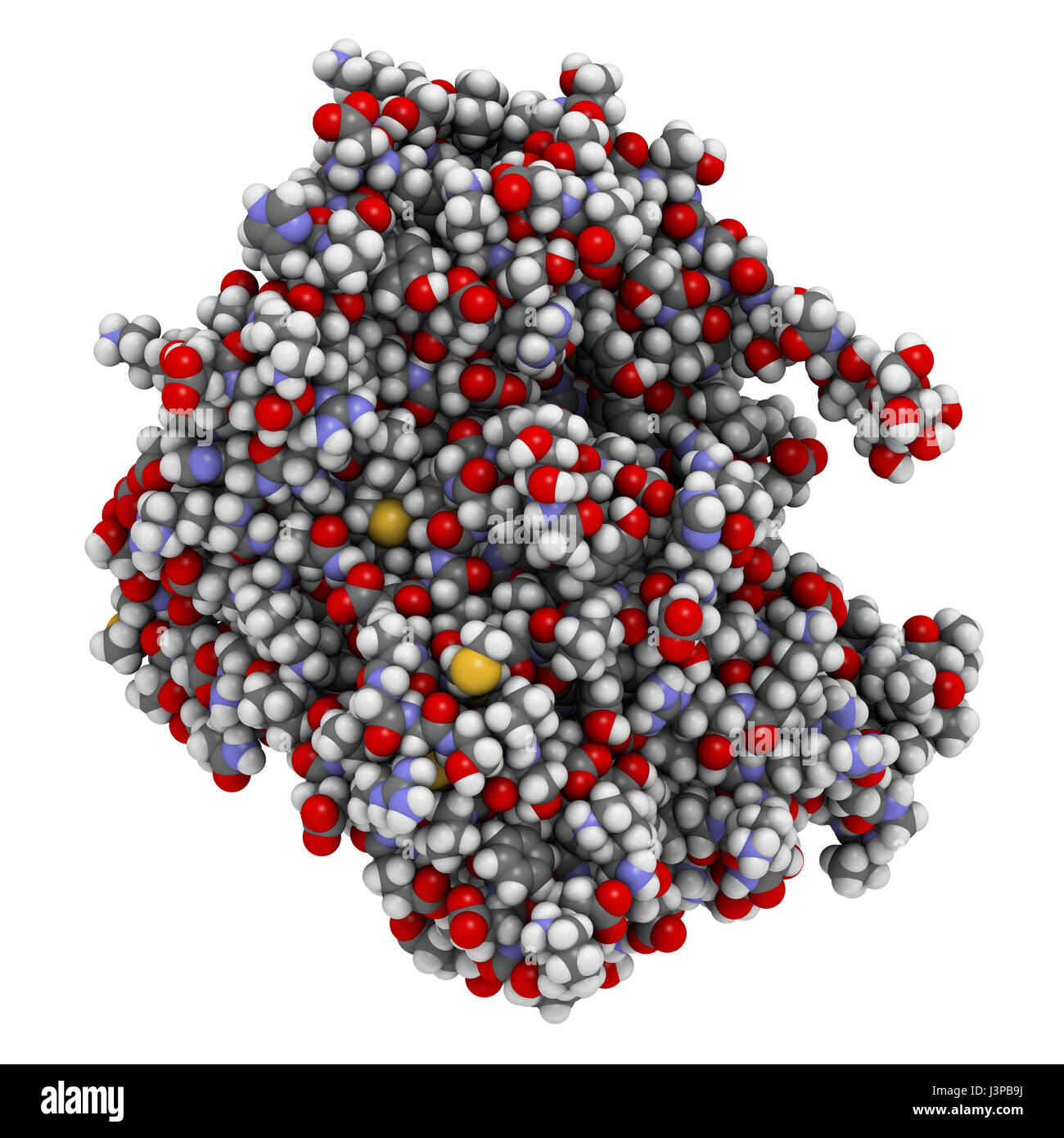 Prostatic Acid Phosphatase Pap Protein Biomarker Of Prostate Cancer