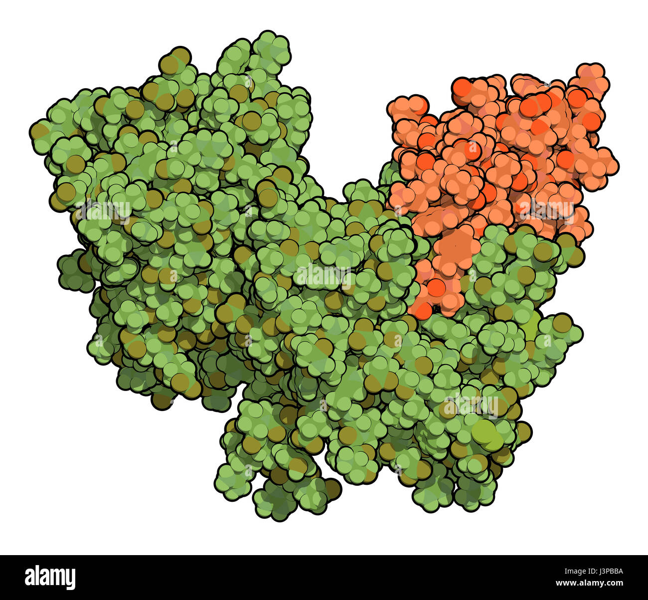 Proprotein convertase subtilisin kexin type 9 (PCSK9) protein. Target ...