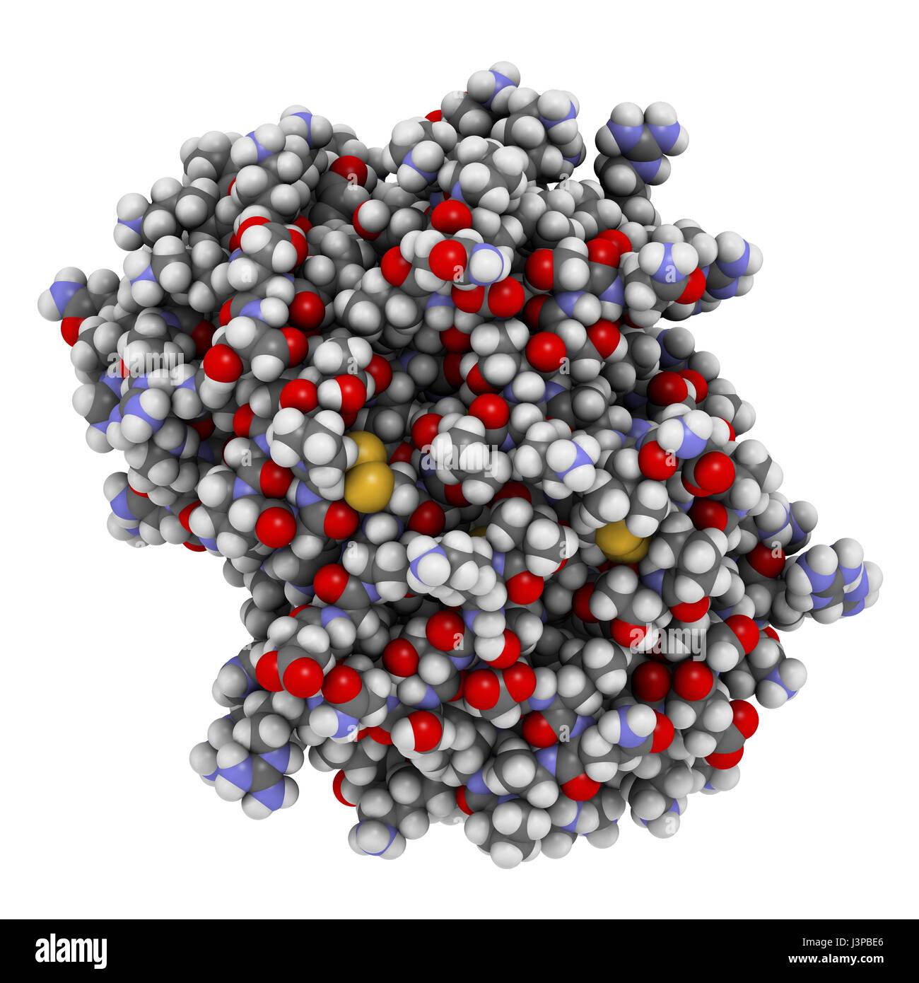 Platelet factor 4 (PF-4) chemokine protein. Atoms are represented as ...