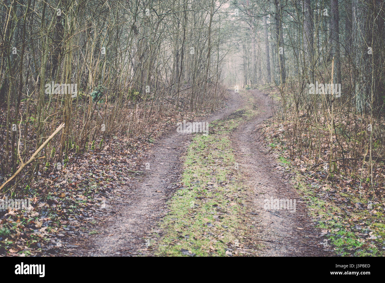 empty country road in spring with perspective and shadows - retro ...