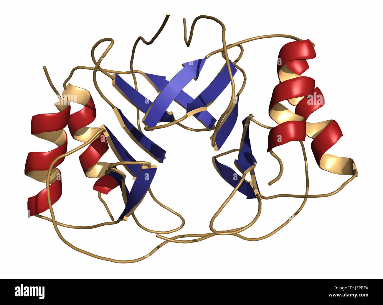 Secondary protein structure hi-res stock photography and images - Alamy